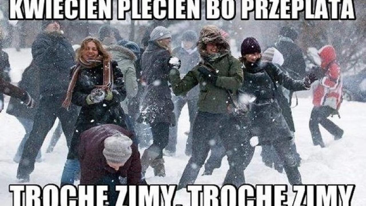 Najlepsze memy na pierwszy dzień wiosny. "Niby wiosna, a dalej zima ...